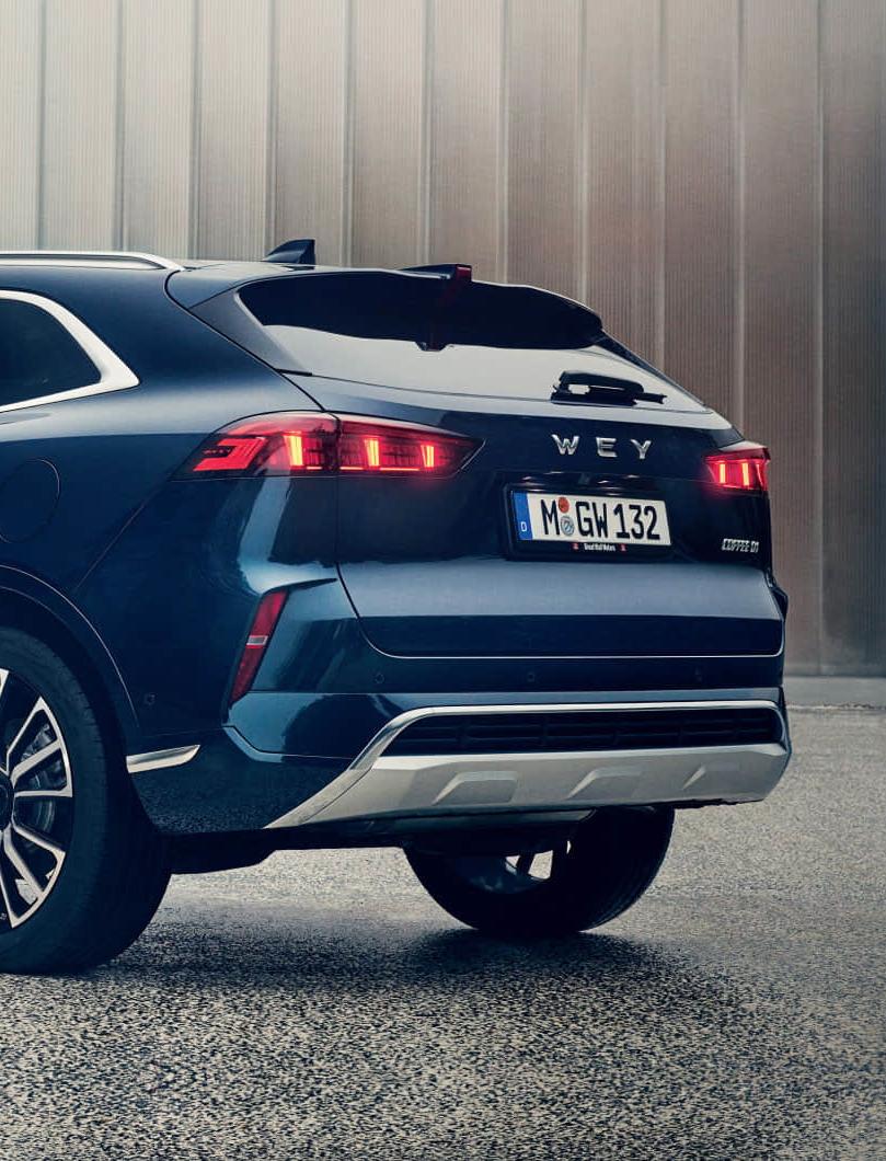 ווי ישראל | Wey Israel